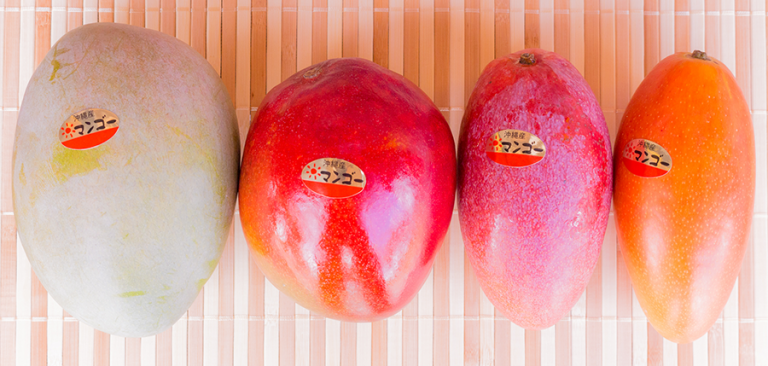 マンゴーの通販セット【幻のマンゴーを4種類から】 | 沖縄のマンゴーの通販・販売は那覇マンゴー園